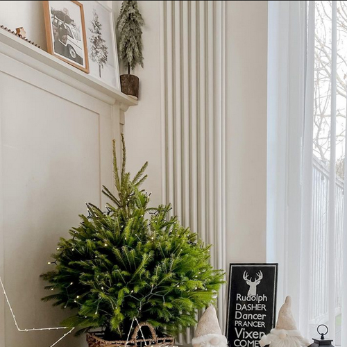 Radiator Outlet | The Home of Affordable Radiators